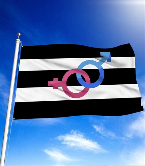 Heterosexuality Flag Straight Ally Flag Pink Point