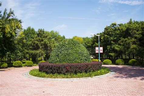 Asia China Beijing Jianhe Park Landscape Decoration Grass Carving