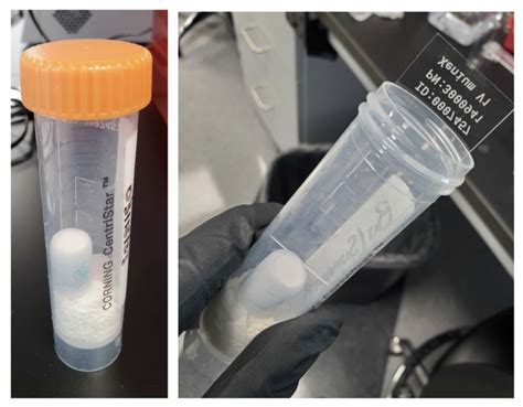 How Should I Store Xenium Slides Once Ffpe Tissue Sections Have Been