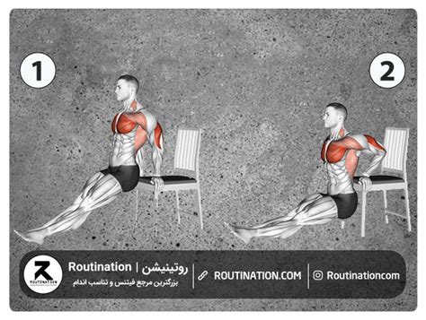 نحوه اجرای حرکت دیپ کمکی Modified Dips Routination