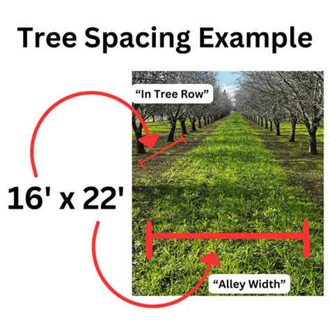 Tree Spacing Example