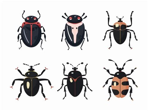 Premium Vector Dazzling Beetle Diversity A Colorful Insect Showcase