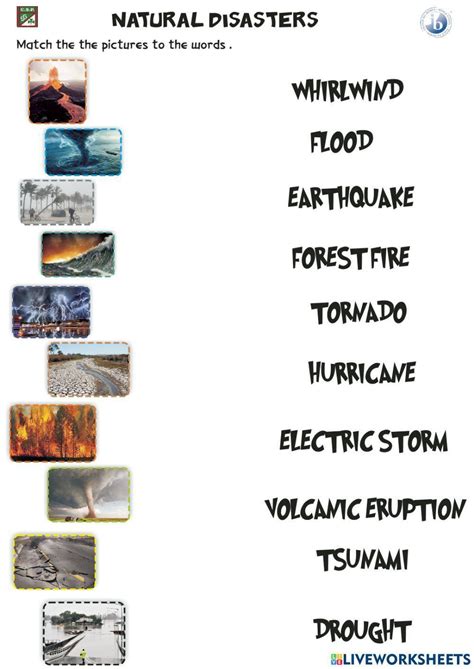 Natural Disaste Free Interactive Worksheets 1079852