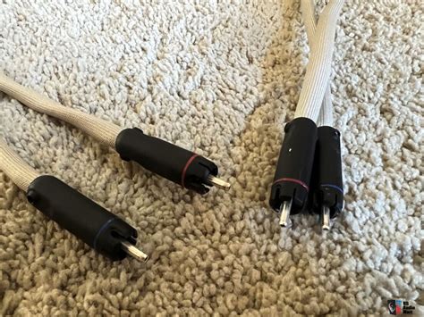 Marigo Audio Labs Analog 12 Extreme 7ft Bi Wire Terminated Speaker