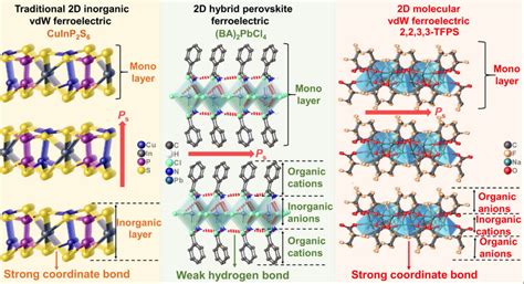 南昌大学advanced Materials！二维范德华分子室温铁电体！ 知乎