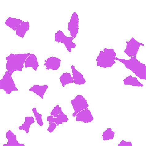 Annotated Quantitative Phase Microscopy Cell Dataset Ninja