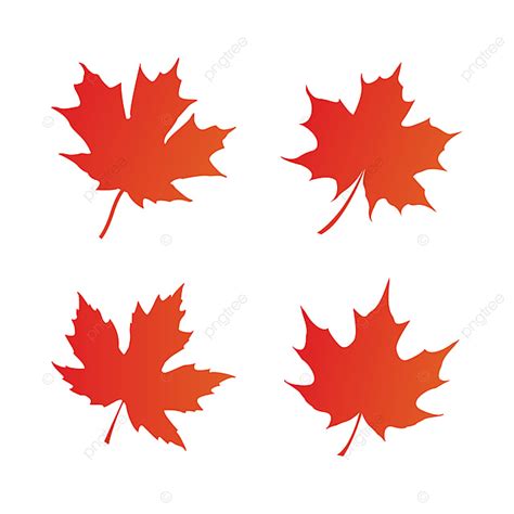 Sugar Maple Leaf Silhouette
