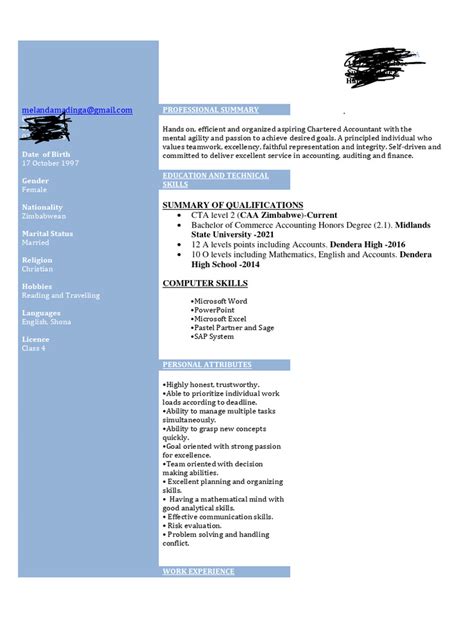 Cv Sample 4 Pdf Audit Internal Audit
