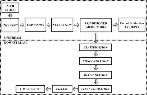 Development Of A Gmp Grade Manufacturing Method For Exosomes From Human