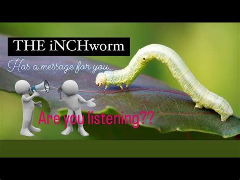 The Spiritual Meaning Of Inch Worms Explained Spiritual Meaning