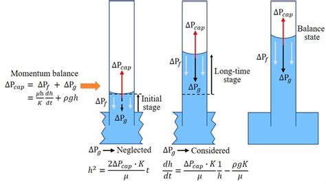 Schematic Diagram Of Calculation Of Capillary Performance Parameters