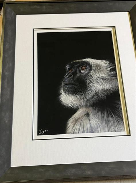 Using Fixative Emma Colbert Shares Her Opinion Pastel Today