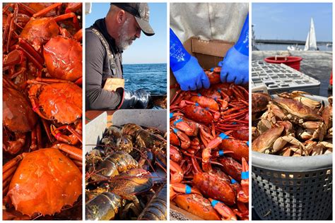 Introducing Your New Favorite 0 Sugar 0 Carb 0 Guilt Premium Vodka Cocktail Sinless Spirits