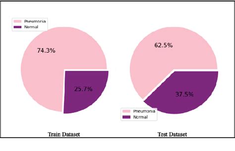 Figure 1 From Pneumonia Identification Using Deep Learning Models