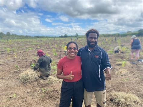Cassowary Credit First Tree Planting