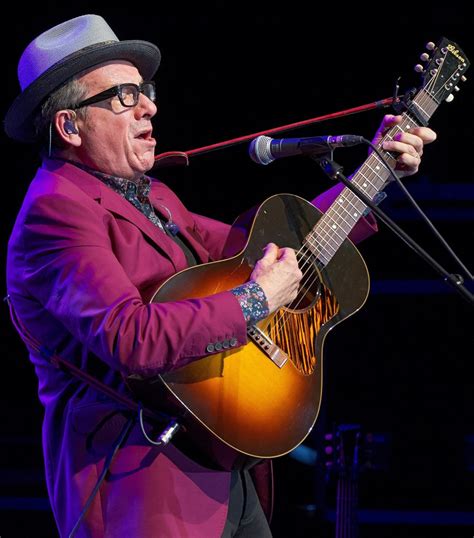 Elvis Costello Picture 1 Elvis Costello Performing Live