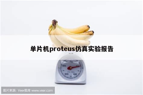 单片机proteus仿真实验报告 proteus相关 proteus8软件 proteus软件