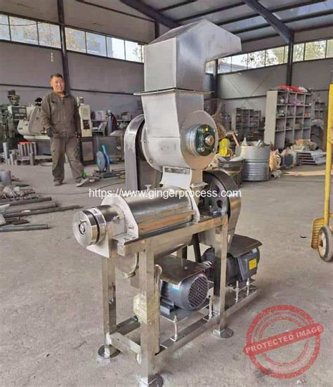 Ginger Juice Extractor Machine For Ghana Customer Ginger Processing Machine Manufacturer And