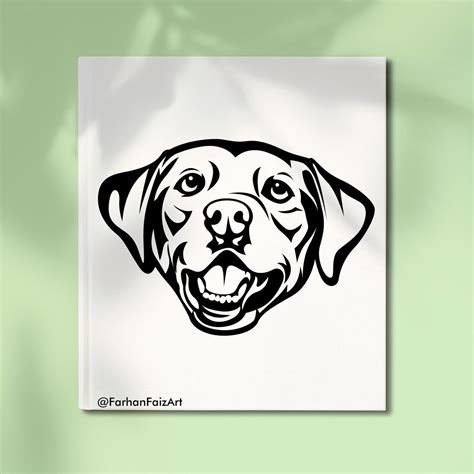 Farhan Faiz On Linkedin Fiverr Work Gig Freelance