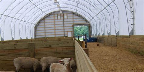 Sheep Barns Accu Steel