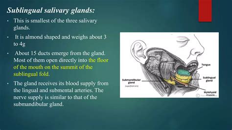 Saliva And Salivary Glands A Prosthodontics Perspective Pptx