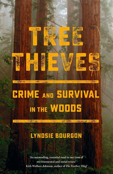 Bourgon L Tree Thieves Lyndsie Bourgon Buch Jpc De