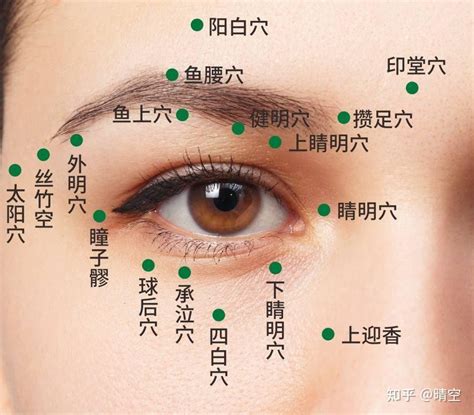眼保穴位及眼保健操 知乎