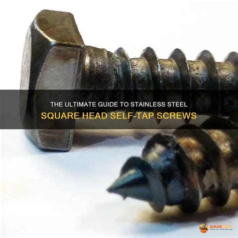The Ultimate Guide To Stainless Steel Square Head Self Tap Screws Shuntool
