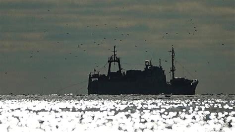 Trawling Stock Video Footage For Free Download