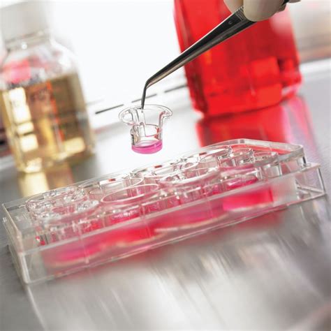 Transwell Guidelines For Use