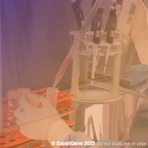 What Is Bioprocess Development Design Talk