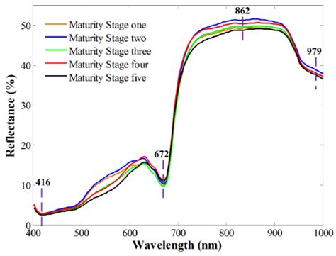 Molecules Free Full Text Maturity Stage Discrimination Of Camellia