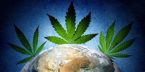 Cultivated Cannabis Origins Asheville Dispensary