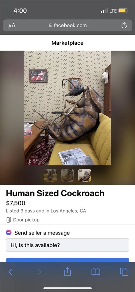 Human Sized Cockroach For The Low Price Of 7500 Rcrackheadcraigslist