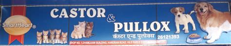 Castor And Pullox Pets Shop Vile Parle East Mumbai Photos Images And
