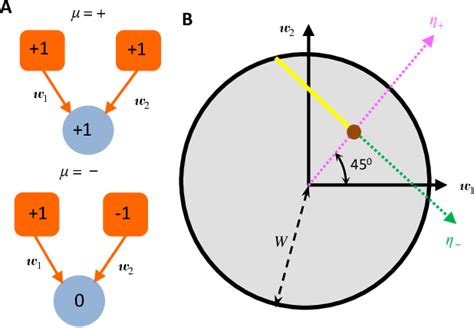 Figure 2 From Geometric Framework To Predict Structure From Function In
