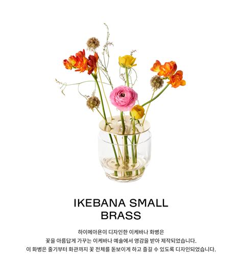 프리츠한센 Ikebana Smallbrass 감도 깊은 취향 셀렉트샵 29cm
