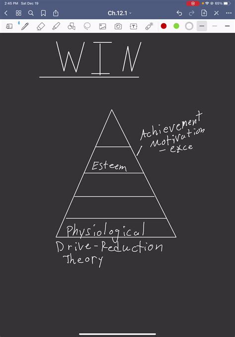 Drive Reduction Theory Example