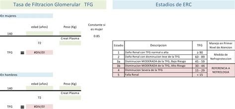 Tasa De Filtracion Glomerular Pdf