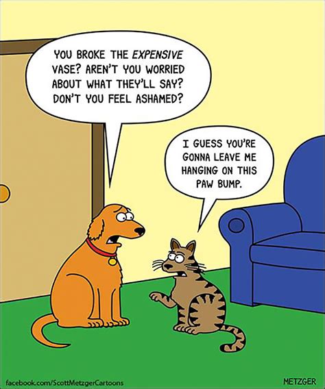 66 Hilarious Differences Between Cats And Dogs Bored Panda