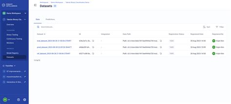 registering models datasets and predictions — robust intelligence