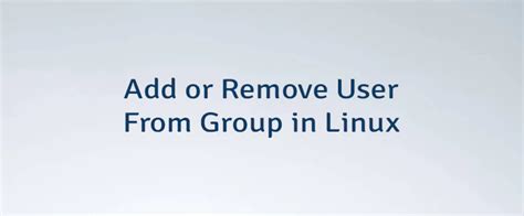 Add or Remove User From Group in Linux | Lindevs