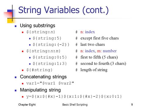 Chapter Eight Basic Shell Scripting1 System Programming Basic Shell