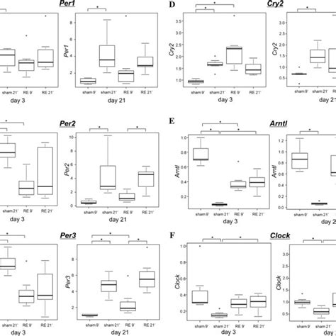 A Endoscopic Appearance Of Ulcerative Esophagitis Secondary To Severe Download Scientific