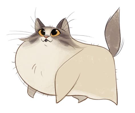 Fluffy Cat Drawing At Explore Collection Of Fluffy