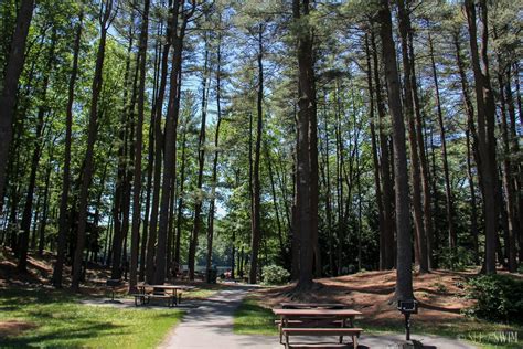 Dunn State Park See Swim
