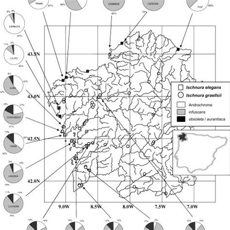 The Relationship Between Colour Polymorphism And Age Related Colour