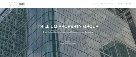 Trillium Property Group Dynamic Real Estate Advisory Asset Management And Consulting
