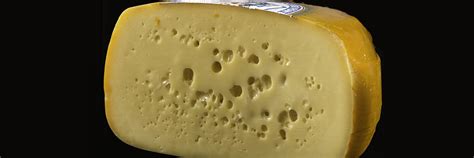 Queso Fontina Lácteos Castelar