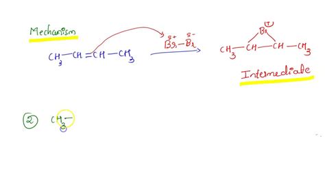 Solved Alkenes Draw The Intemediate Bromonium Ion Part A Draw The